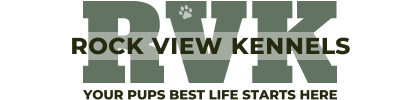 Welcome to Rock View Kennels